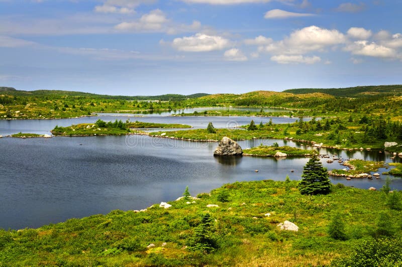 Beautiful Lake Shore in Newfoundland Stock Photo - Image of landscape ...