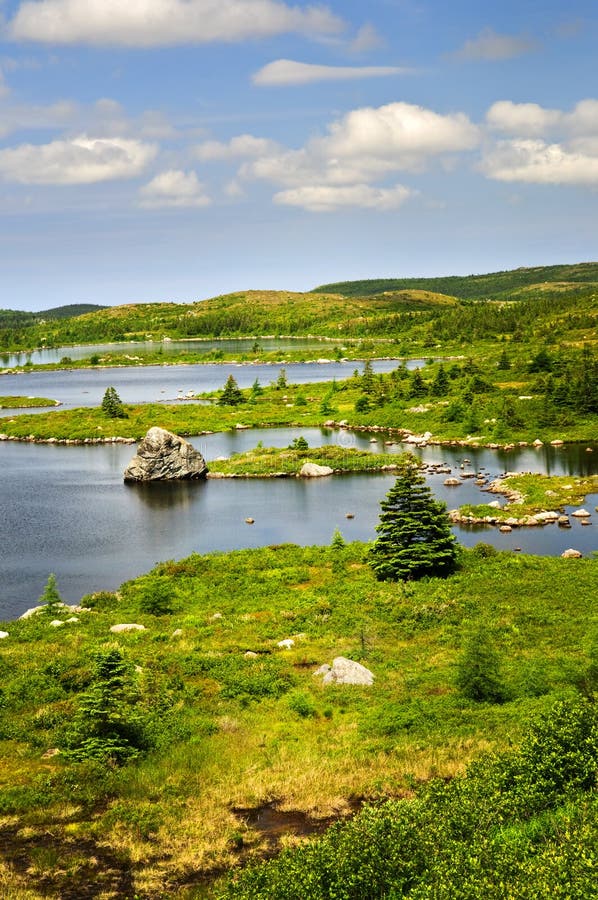 Beautiful Lake Shore in Newfoundland Stock Photo - Image of landscape ...