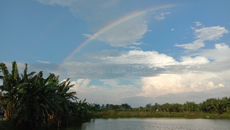 Beautiful Lake Sky with Shady Trees Stock Image - Image of reflection ...