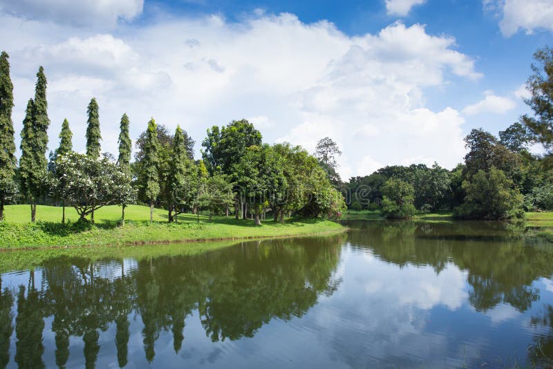 Beautiful Lake in the Spring Park Stock Image - Image of beautiful ...