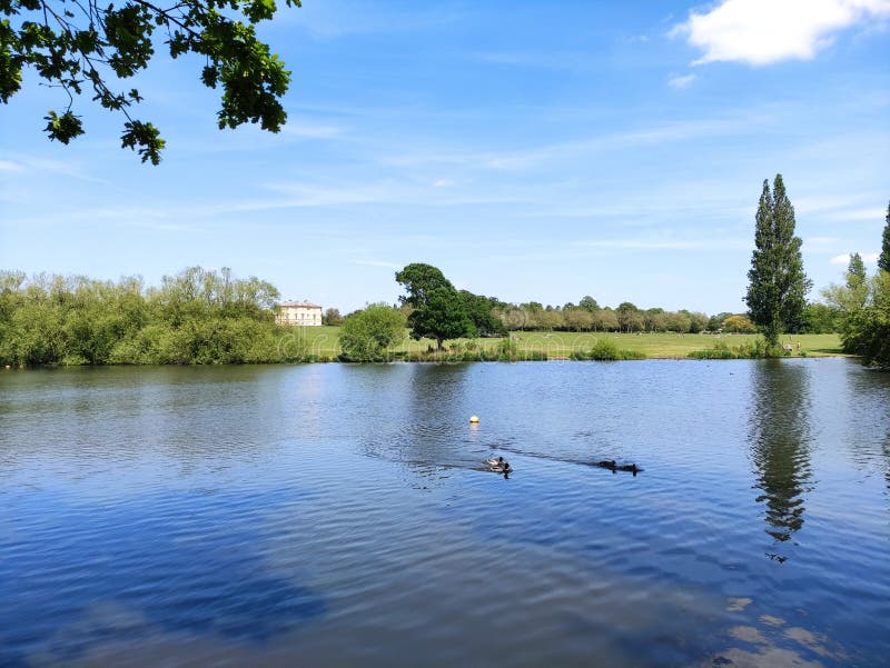 The Beautiful Lake and Trees in Danson Park, at Bexleyheath, UK Stock ...