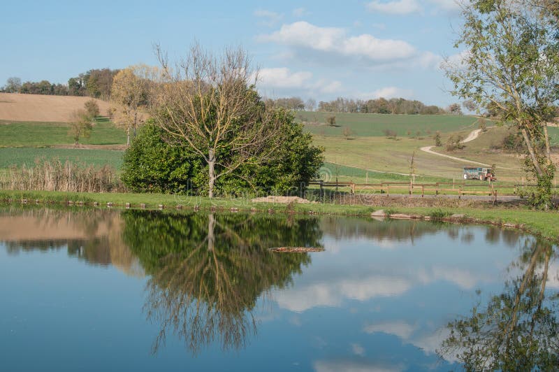 Beautiful Lake with Trees in Reflection Stock Image - Image of ...