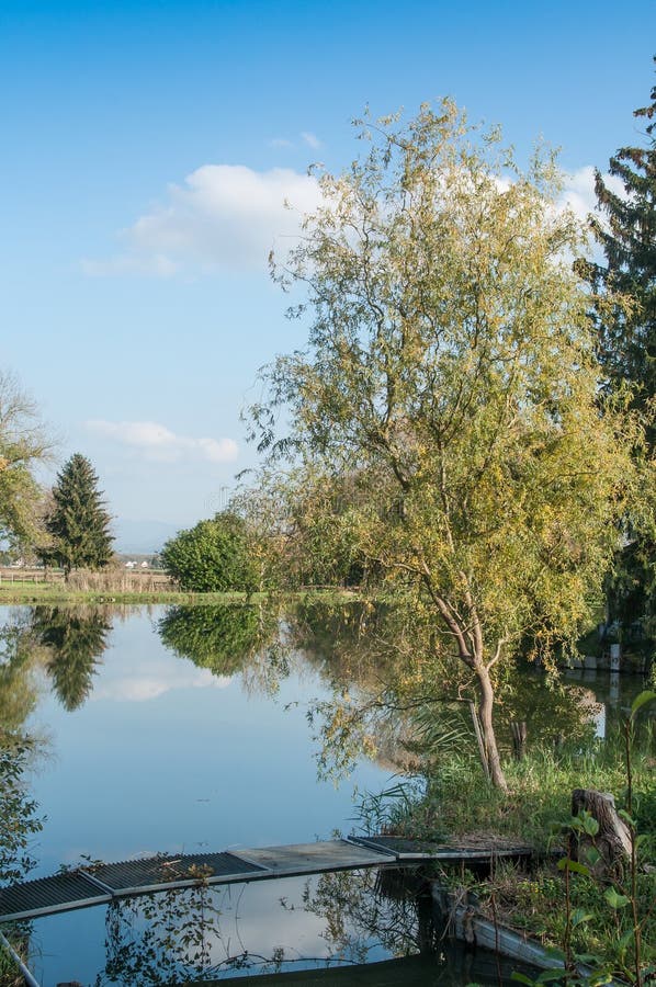 Beautiful Lake with Trees in Reflection Stock Image - Image of clouds ...
