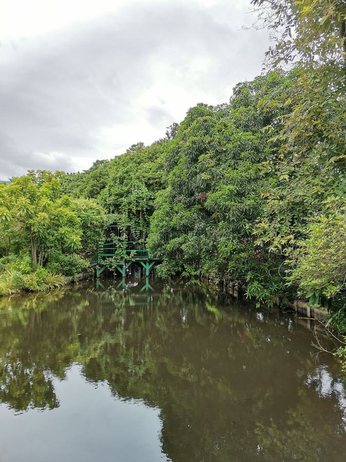 A Beautiful Lake with Trees and Reflections Stock Image - Image of ...