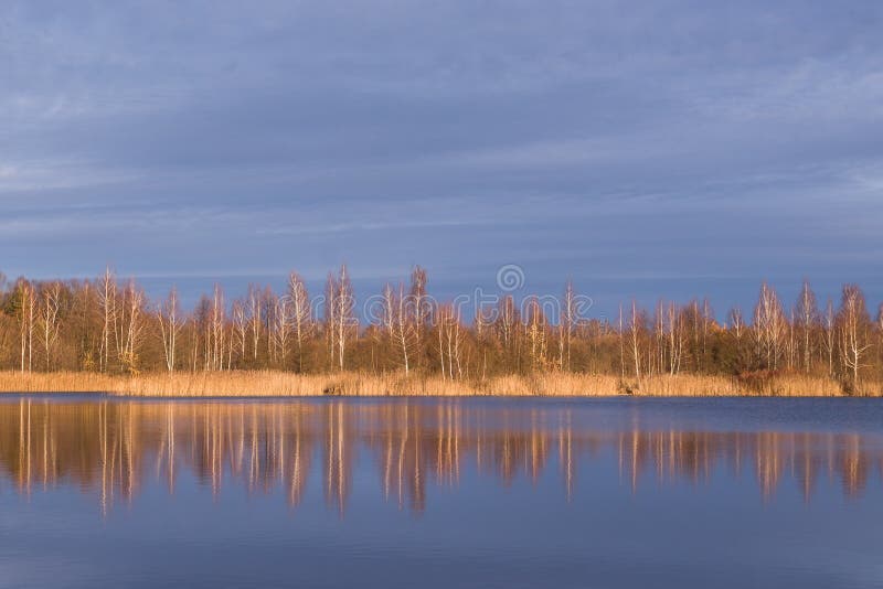 Beautiful lake with trees stock photo. Image of morning - 202017542