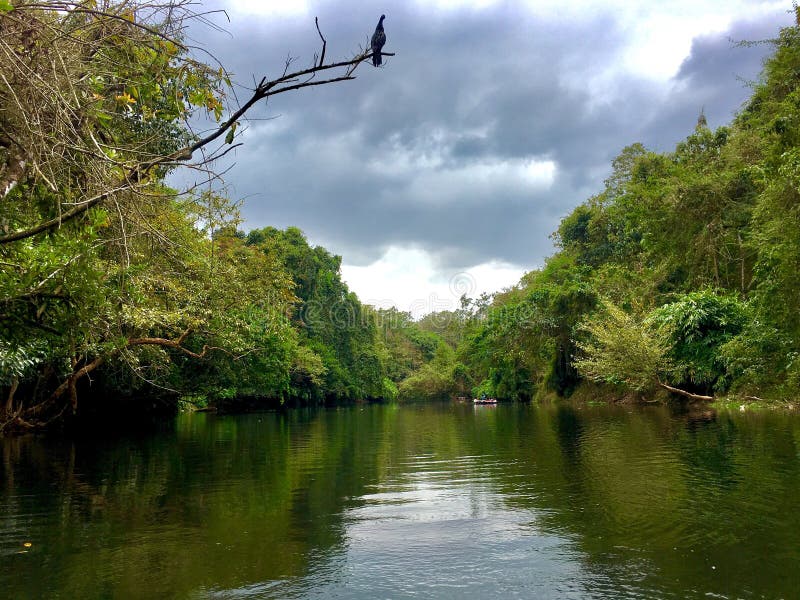 Beautiful Lake View from Konni Kerala Stock Photo - Image of beautiful ...