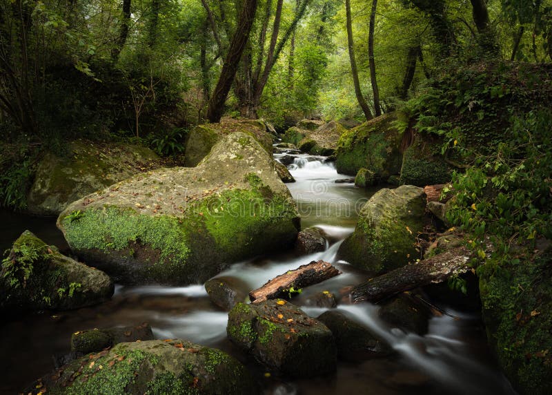 Beautiful Lake View with Lush Greenery in Rome, Italy Stock Photo ...