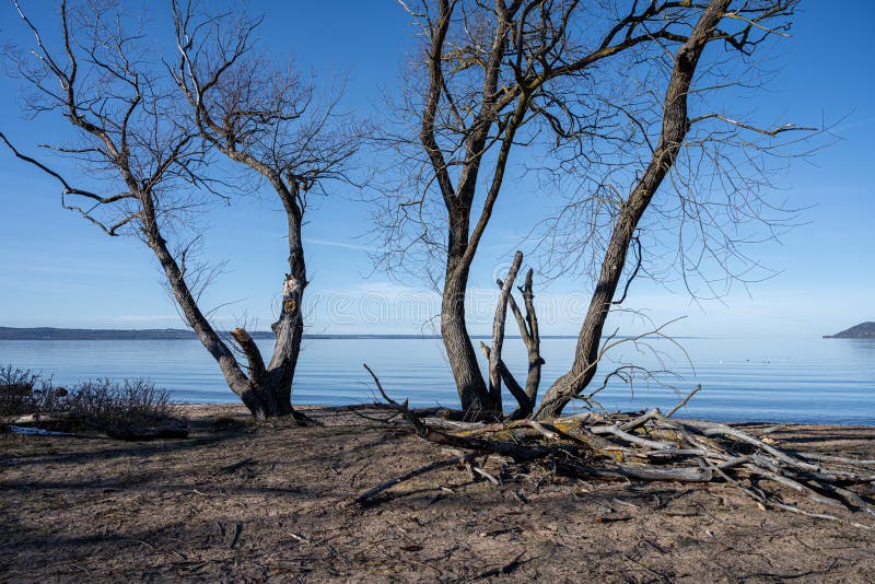 A Beautiful Lake View in the Morning. a Mist Over the Blue Lake Stock ...