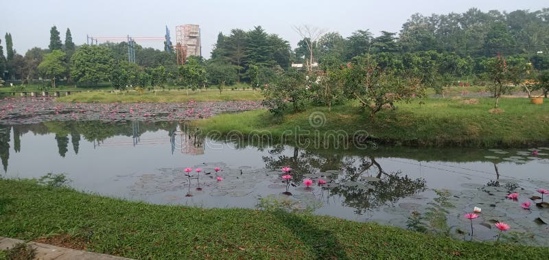Beautiful Lake View in Tangerang, Indonesia Stock Image - Image of ...
