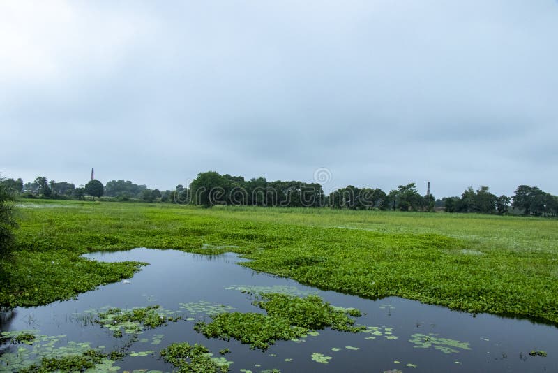 A Beautiful Lakeside View with Clouds Reflected in the Surface Stock ...