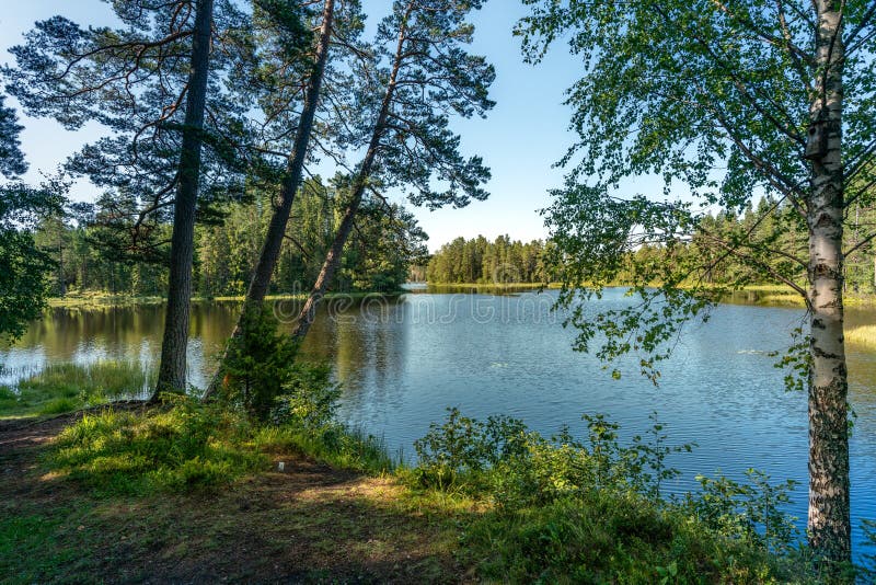 Beautiful Lakeside View from the Swedish Countryside Stock Image ...