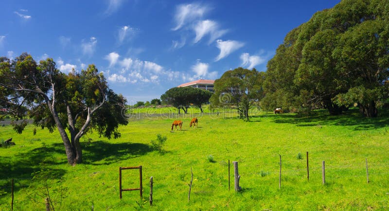 Beautiful land stock photo. Image of cape, south, house - 12215348