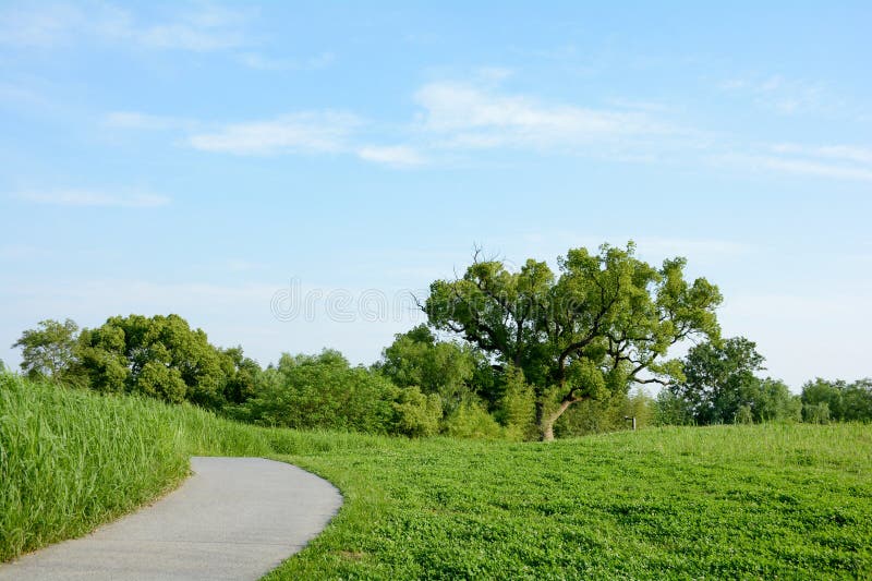 Beautiful Land Scape with Trees, Grass, Blue Sky, White Cloud and a ...