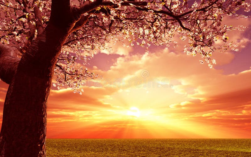 Fantasy Background . Magic Forest with Road Stock Illustration ...