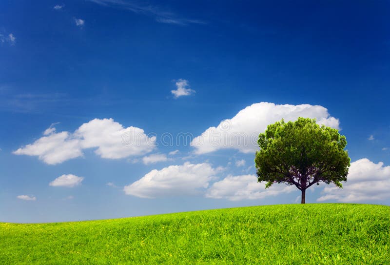 Beautiful landscape stock photo. Image of idyllic, horizontal - 17024654