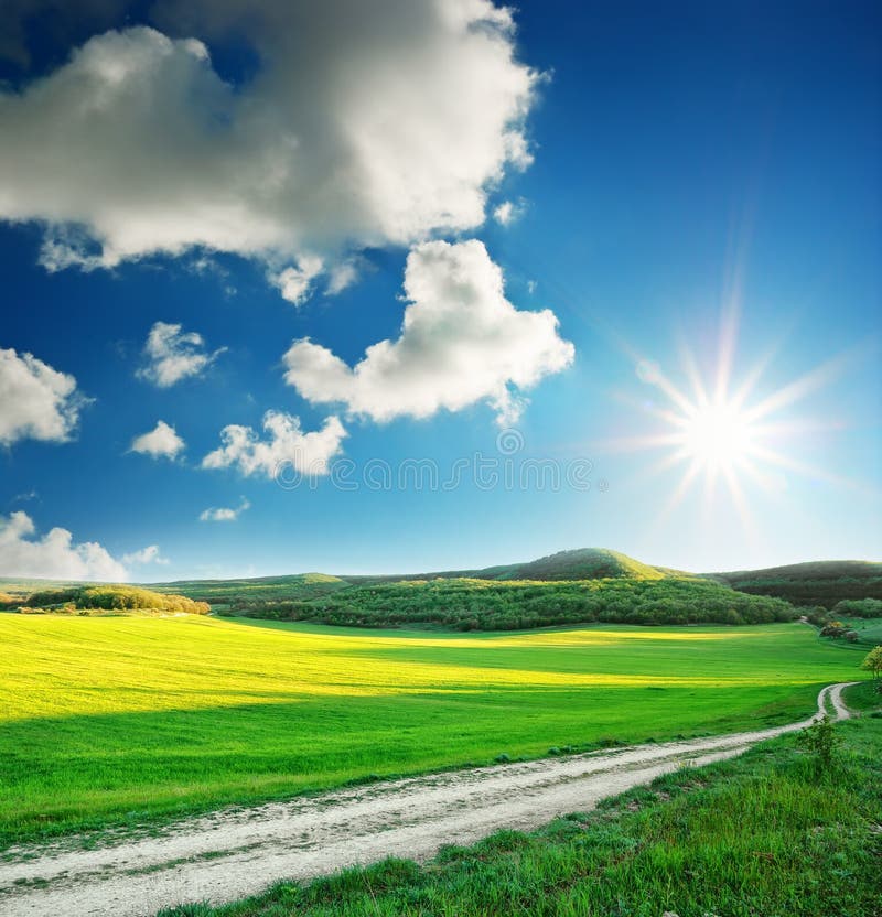 Ground Road in Yellow Flower Field with Sun, Beautiful Spring Landscape ...