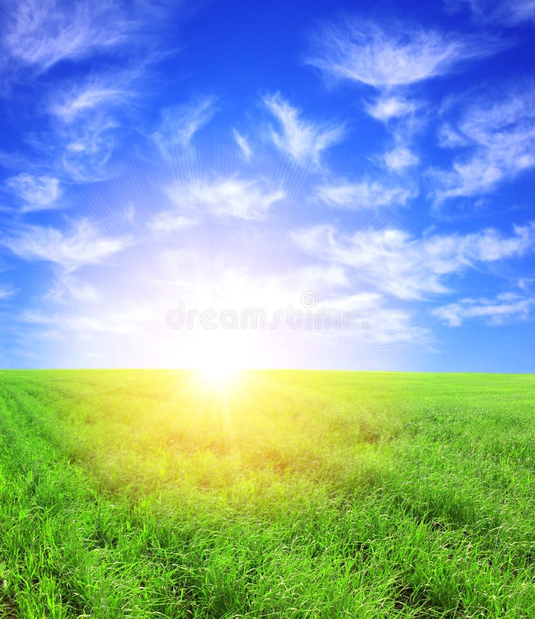 Beautiful landscape stock photo. Image of freshness, field - 25595830