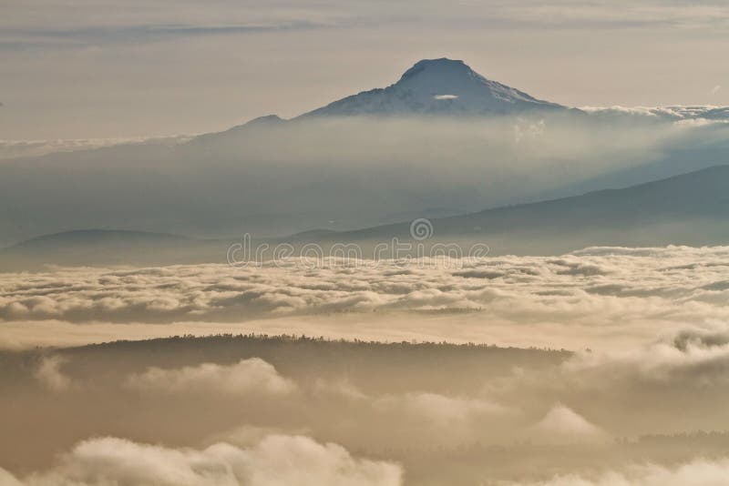 1,214 Amazon Rainforest Area Names Stock Photos - Free & Royalty-Free ...