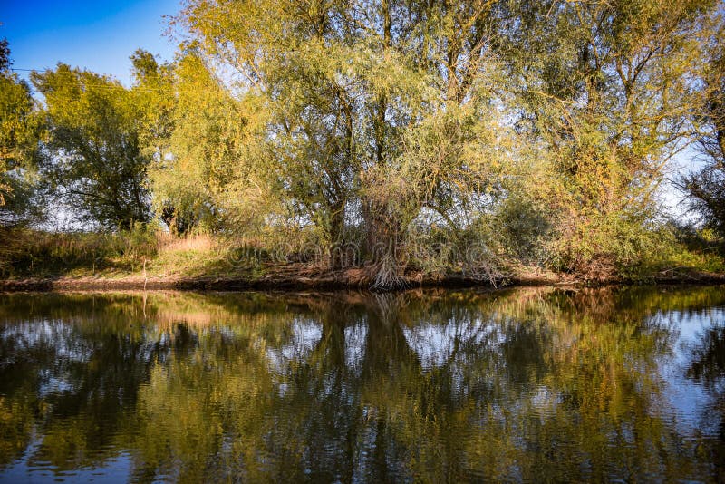 Beautiful Landscape in Autumn Danube Delta Stock Image - Image of ...