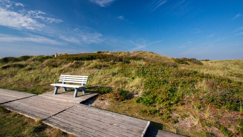 Beautiful Landscape. Bench, Blue Sky Stock Photo - Image of grass ...