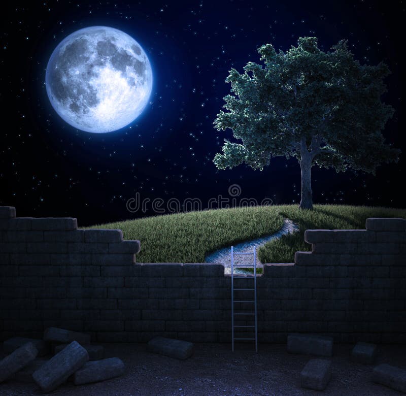 Grass road stock illustration. Illustration of nature - 11507189