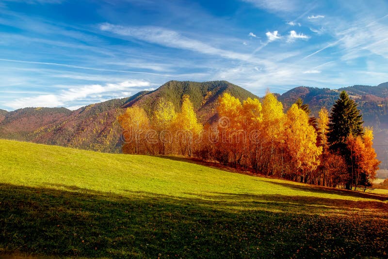 Beautiful Landscape. Birch Tree in the Foreground Image. Stock Image ...