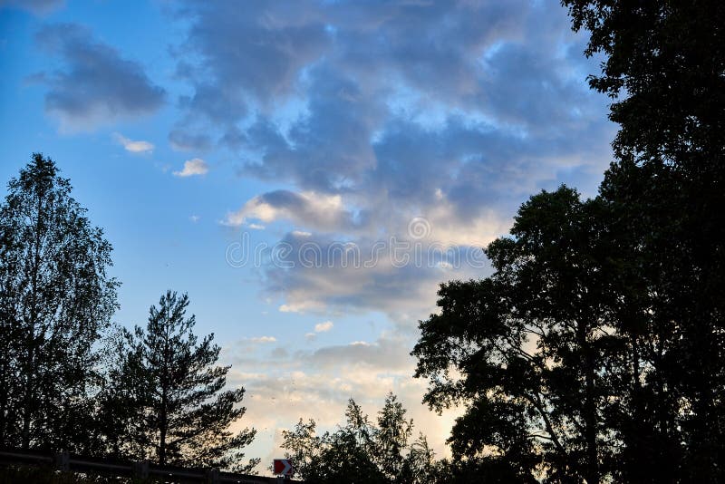 Beautiful Landscape with Blue Sky, Clouds, Sunset and Dark Trees Stock ...