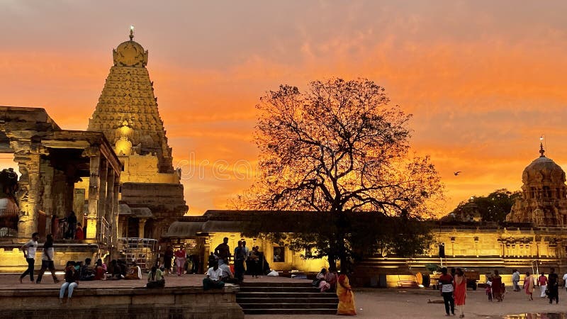 A Beautiful Landscape of Brihadeeswara Temple and Its Temple Tree in a ...