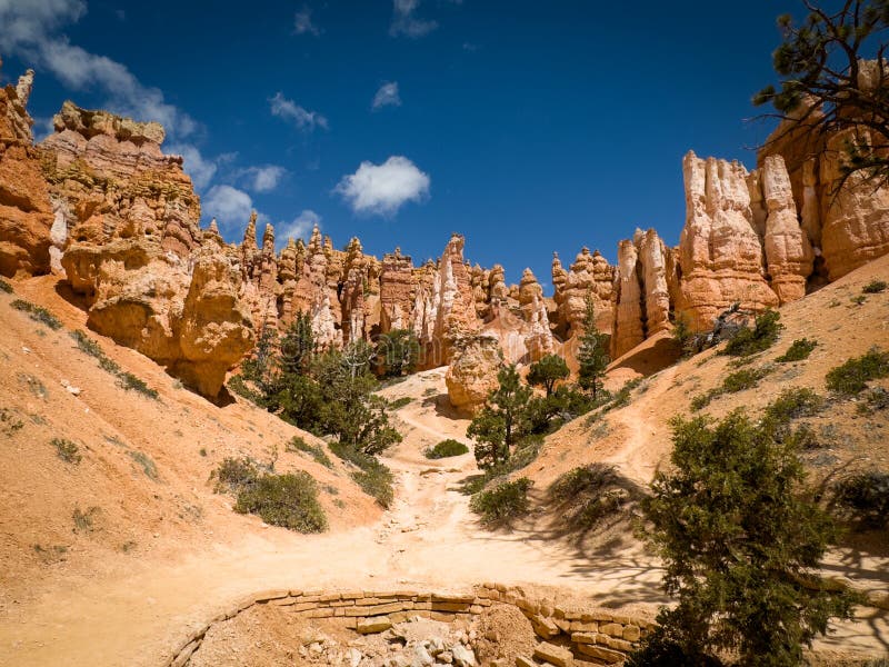 The Beautiful Landscape of Bryce National Park with Sands and Trees ...