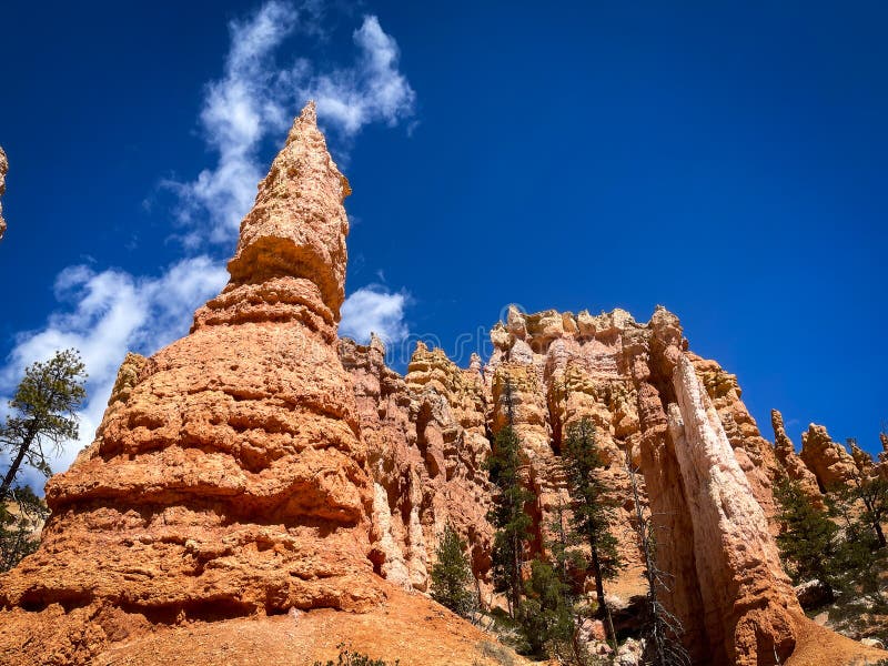 The Beautiful Landscape of Bryce National Park with Sands and Trees ...