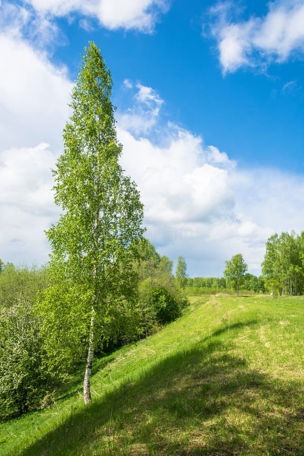 Beautiful Landscape in the Central Part of Russia. Stock Photo - Image ...