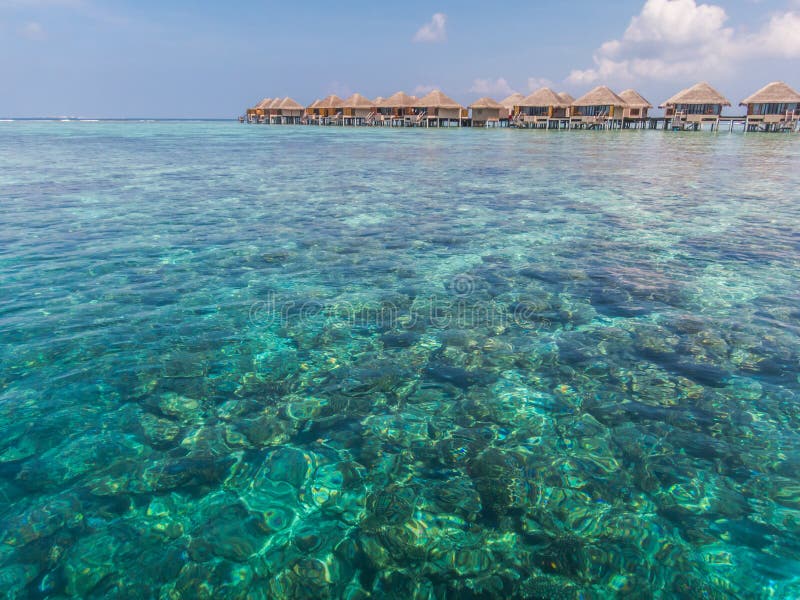 Beautiful Landscape with Clear Green Water Stock Photo - Image of ...