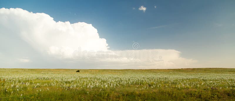 Beautiful Landscape with Clouds in the Sky Stock Photo - Image of ...