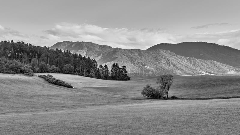 Beautiful Landscape Composition Black and White Stock Photo - Image of ...