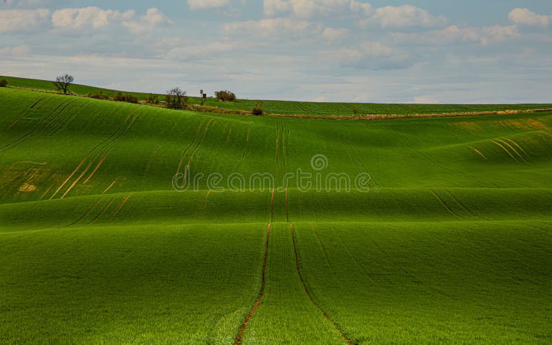 Beautiful Landscape Day Grass on Field Stock Photo - Image of natural ...