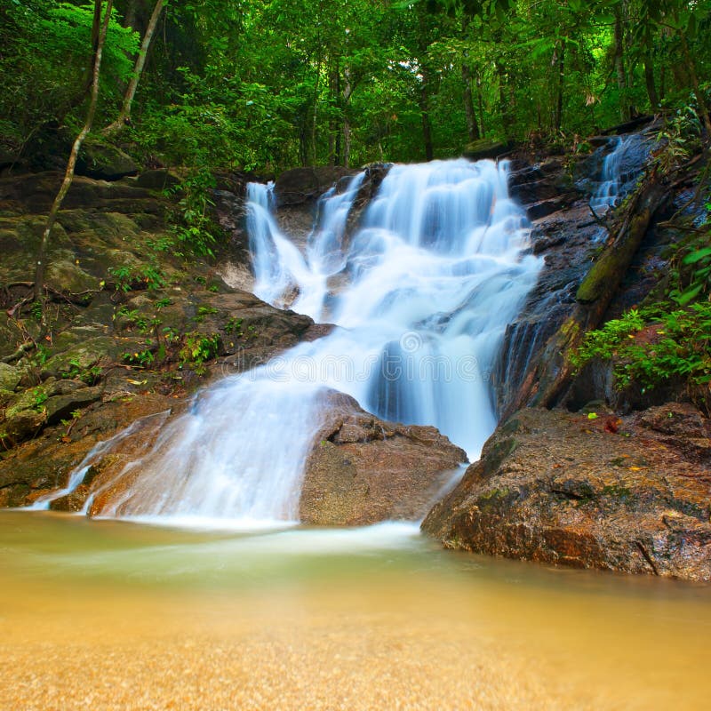 Beautiful Landscape in Deep Forest Stock Image - Image of leaf ...