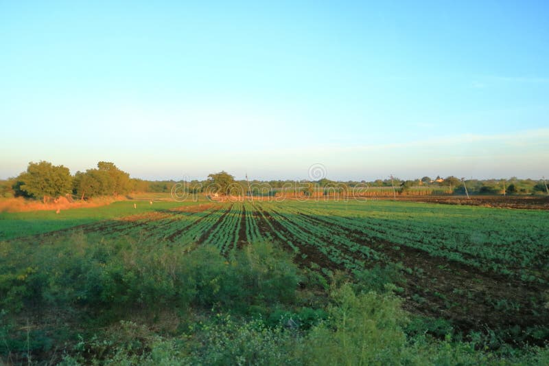 Beautiful Landscape with Field in South India Stock Photo - Image of ...