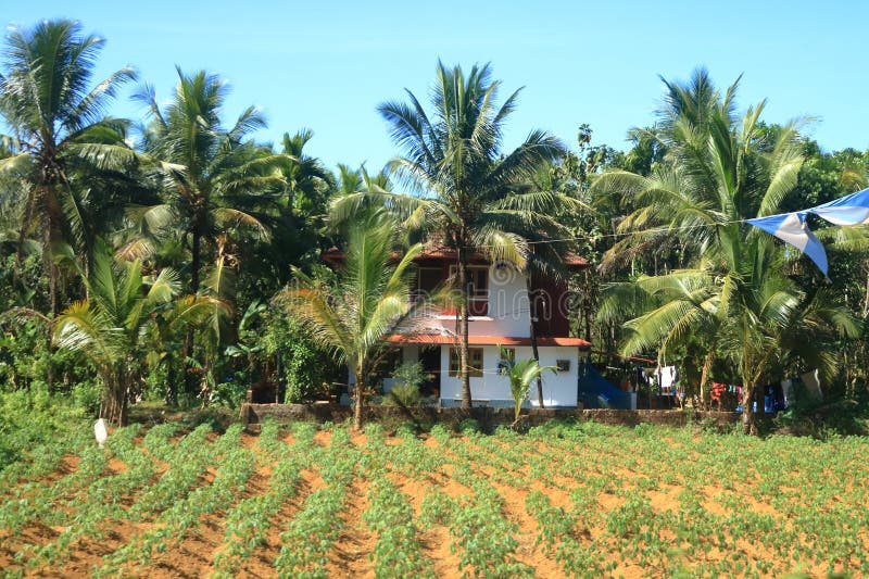 Beautiful Landscape with Field in South India Stock Image - Image of ...