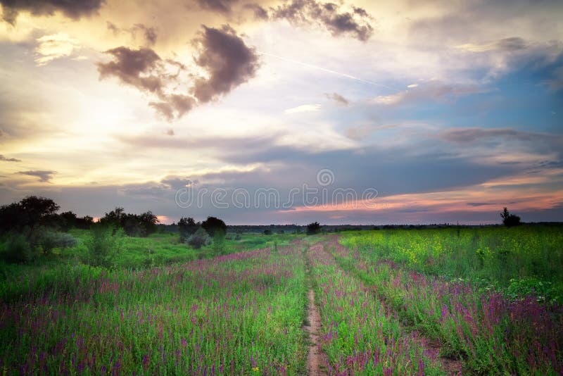 Beautiful Landscape with Flowers, Road and Clouds. Stock Photo - Image ...