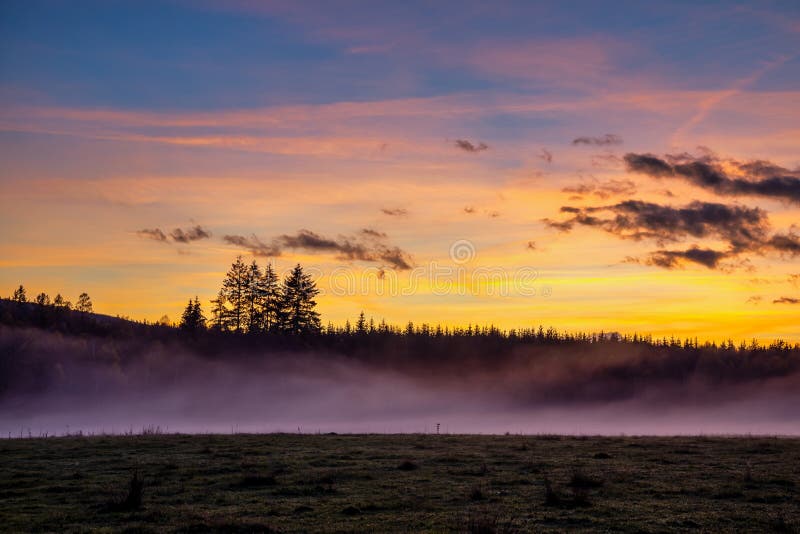 Beautiful Landscape of a Forest Covered by Mist during a Scenic Sunset ...