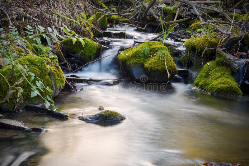 Beautiful Landscape with Forest Creek Stock Photo - Image of cascade ...