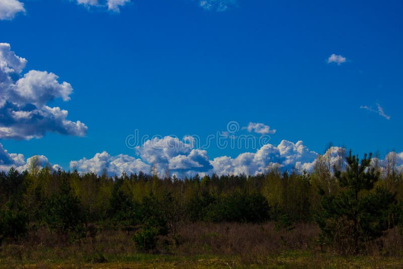 Beautiful Landscape Forest, Field, Sky and Clouds. Background. Stock ...