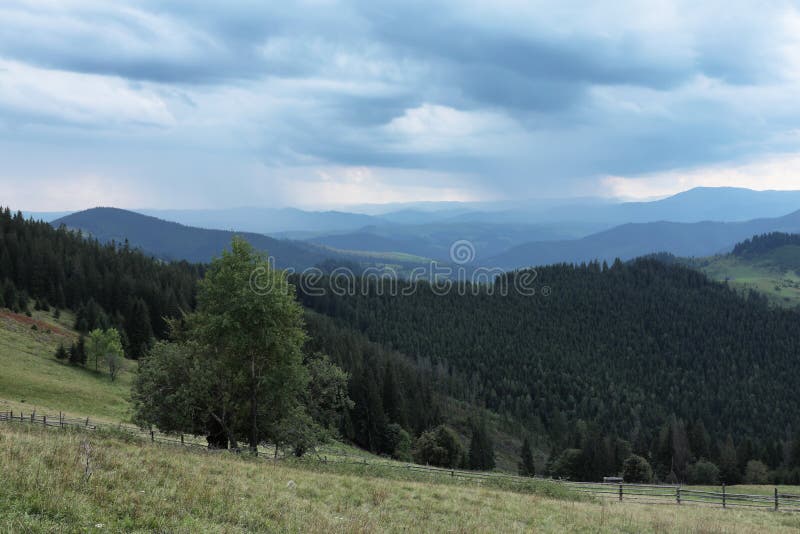 Beautiful Landscape with Forest and Long Mountain Slopes Stock Image ...