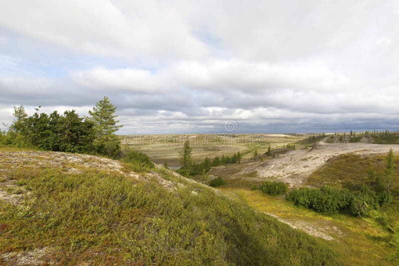 Beautiful Landscape of Forest-tundra, Big Panoramic Stock Photo - Image ...