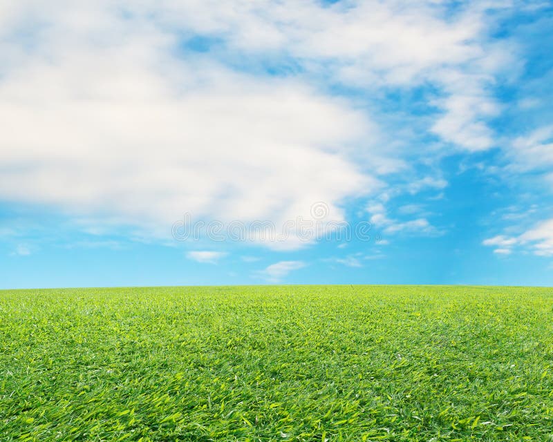 Beautiful Landscape with Fresh Green Meadow, Cloud and Blue Sky Stock ...