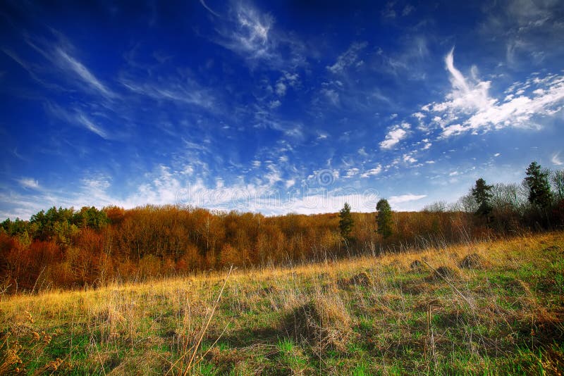 Beautiful Landscape with Grass, Trees, Sky and Sun. Stock Image - Image ...
