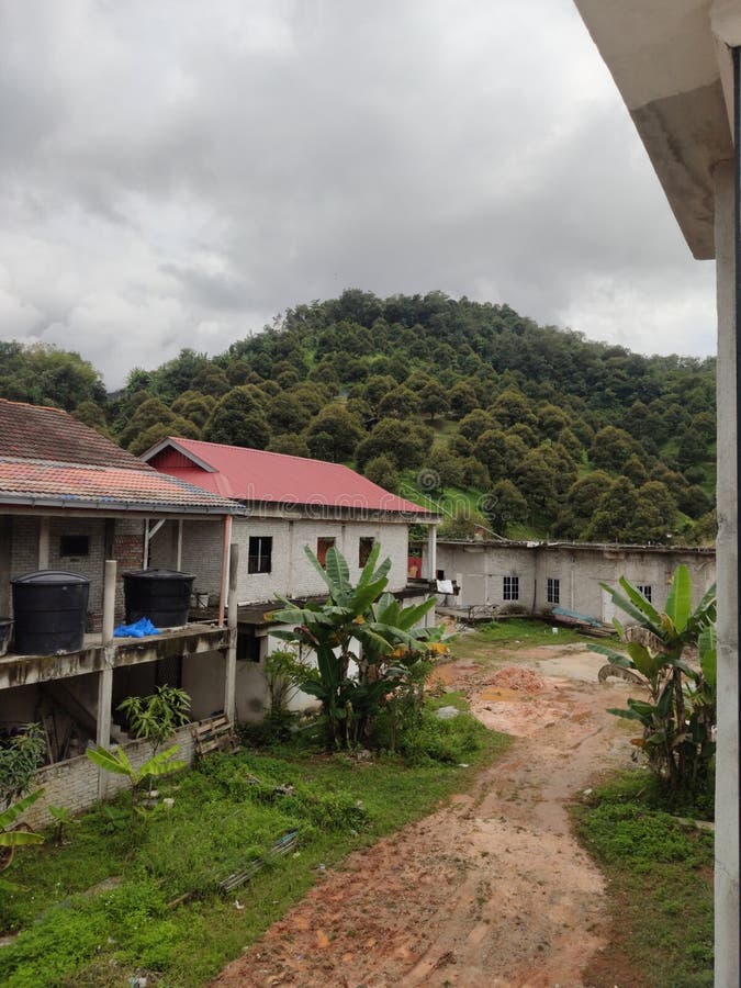 Beautiful Landscape Green Amazing Stock Image - Image of landscape ...