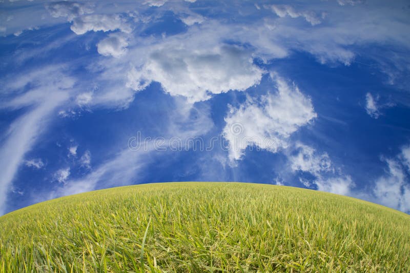 Beautiful Landscape Green Grass and Dramatic Blue Sky Stock Photo ...
