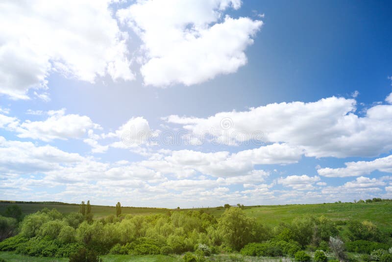 Beautiful Landscape with Green Trees on Sunny Day Stock Photo - Image ...