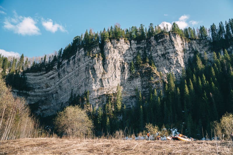 Beautiful Landscape: High Stone Wall with Forest Growing on it Stock ...